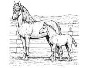Horse And Pony Printable Coloring - Download & Print Free Educational ...