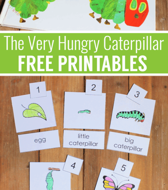 The Very Hungry Caterpillar Book Printable - Download & Print Free ...